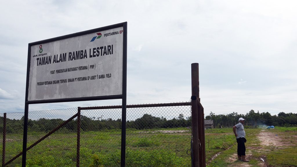 Tambah Penghasilan dengan Tanaman Obat - Aliksa Organik